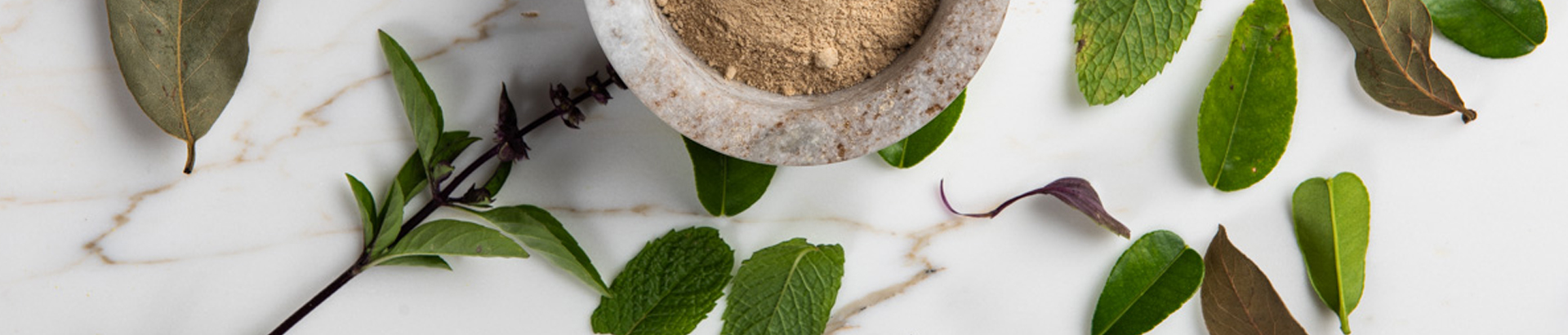 Contact - Health Ingredients