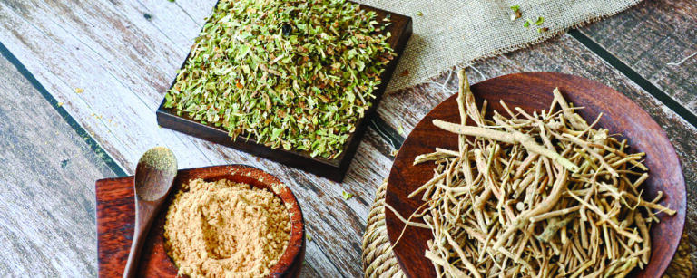 Shoden® - Health Ingredients